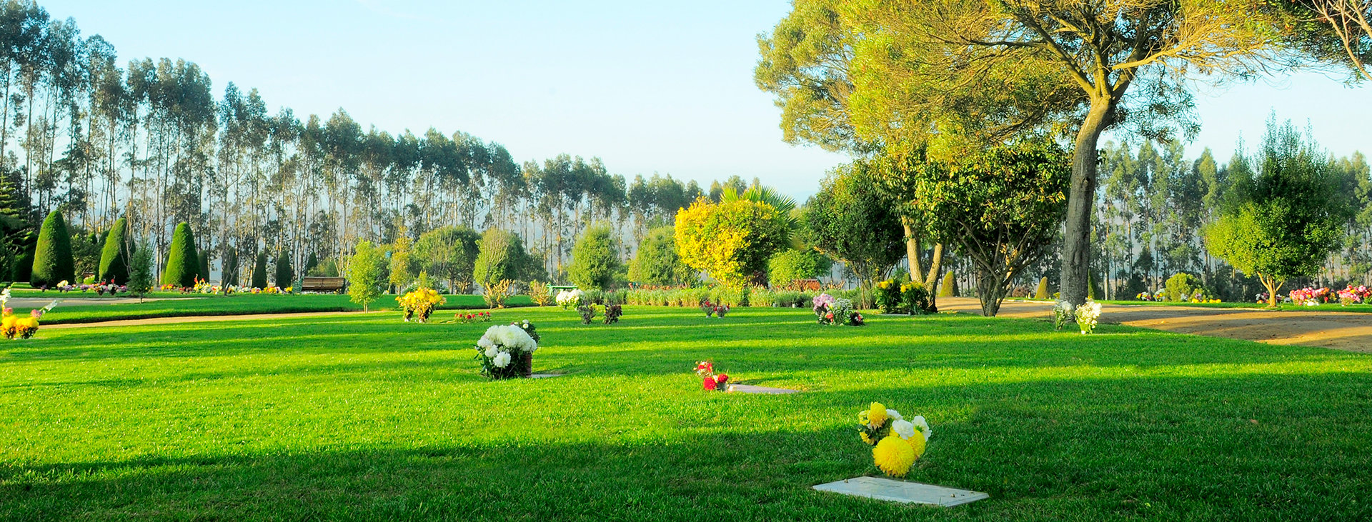 Cementerios Parque Sendero - Sendero